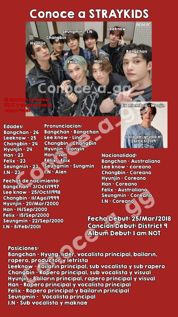 Conoce a los Integrantes de Stray Kids: Una Guía Completa