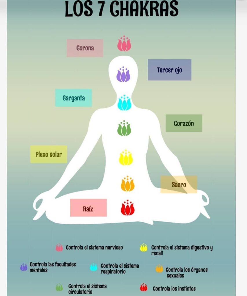 Conoce los nombres y significados de los siete chakras principales del cuerpo