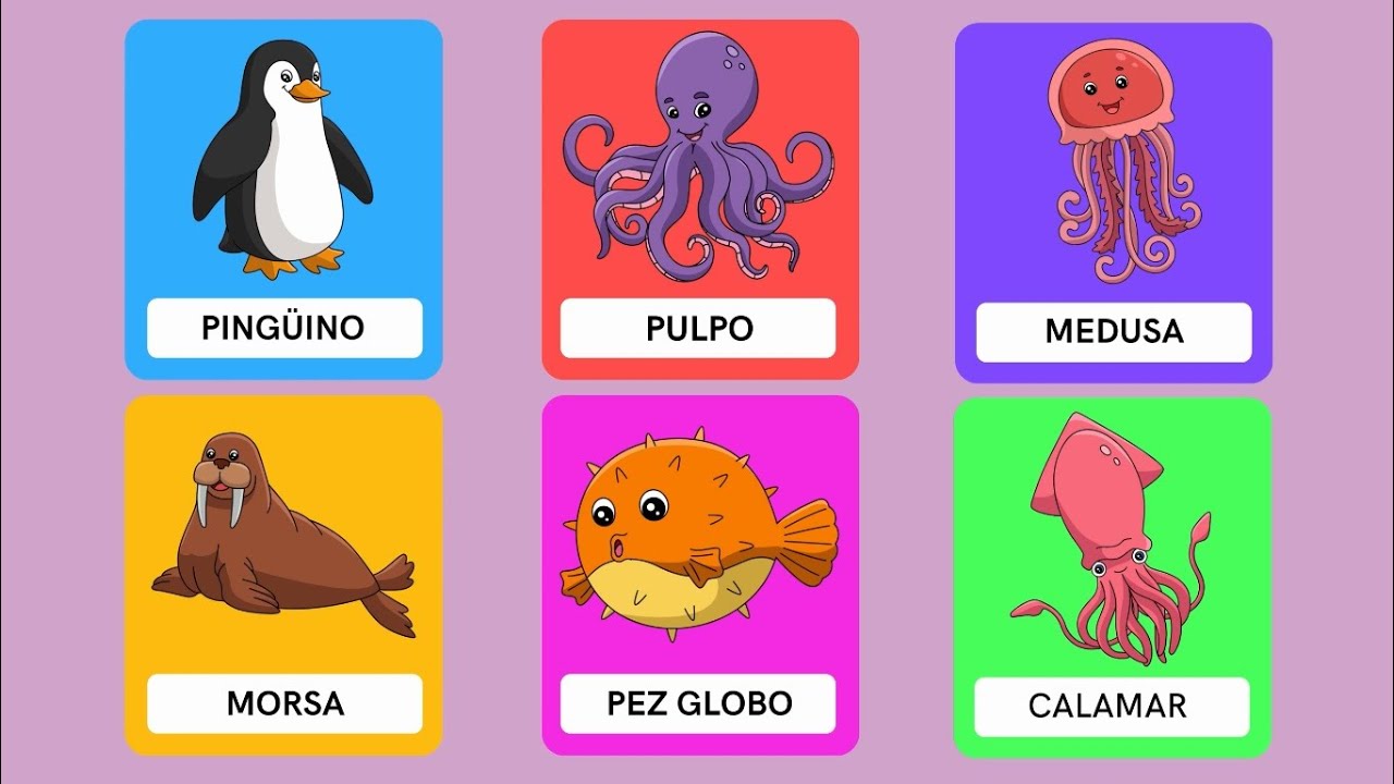 Descubre el Increíble Mundo de los Animales: Tipos y Nombres