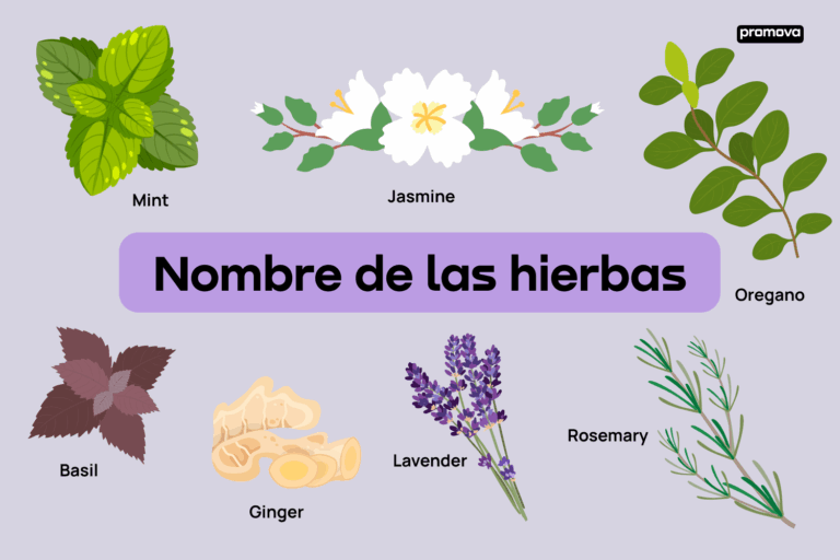 Descubre los Nombres de Plantas Medicinales en Inglés y Español y sus ...