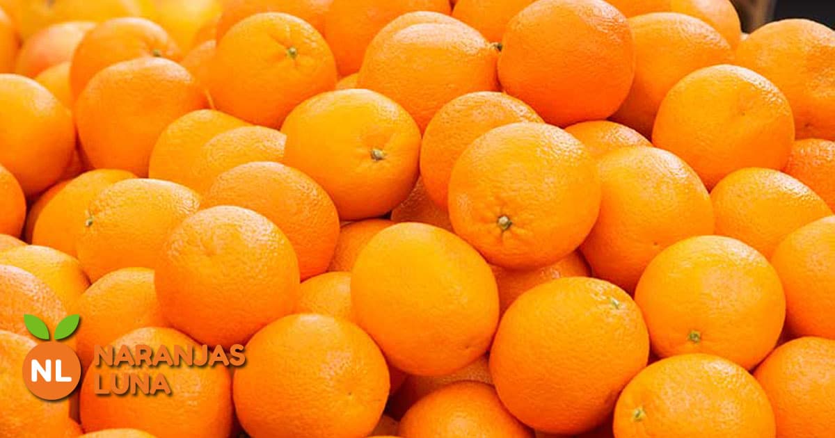 Descubre Todo Sobre la Naranja Una Deliciosa Fruta Llena de Vitaminas y ...