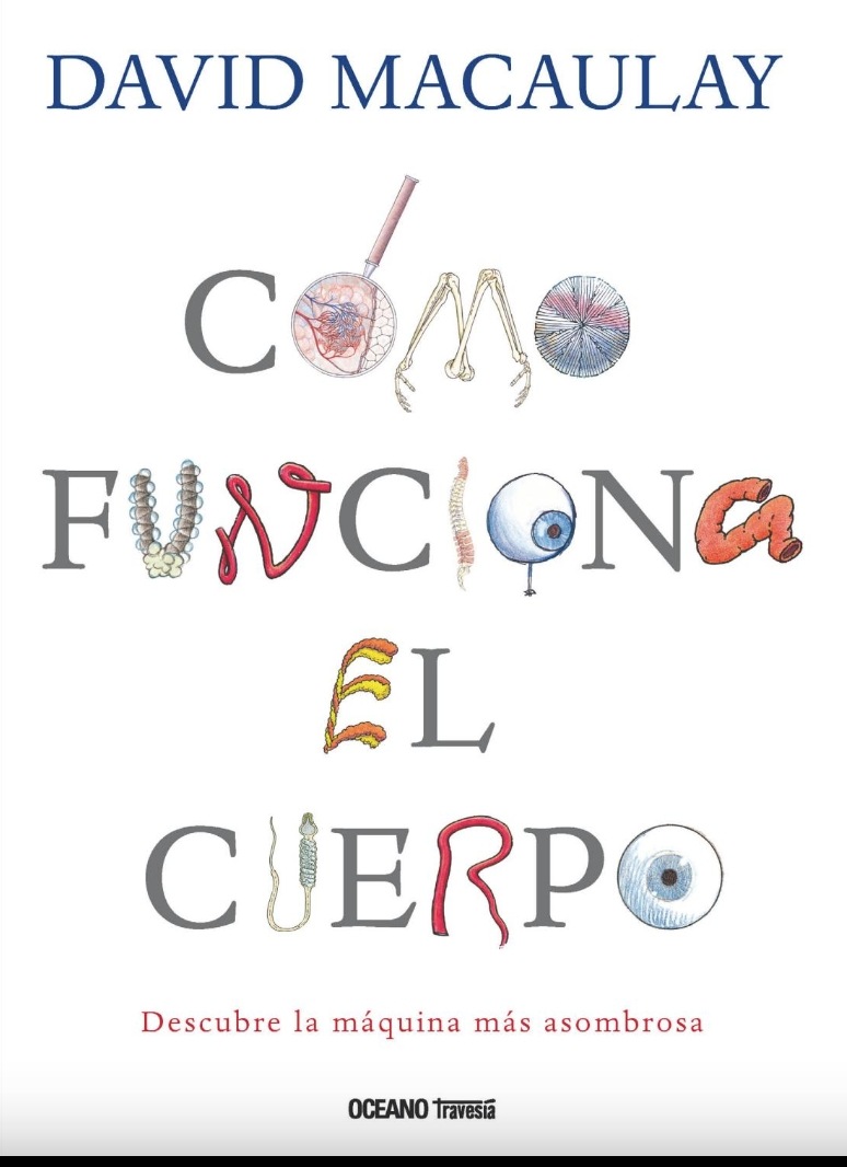Descubre el fascinante mundo de las partes del cuerpo: cuentos ...
