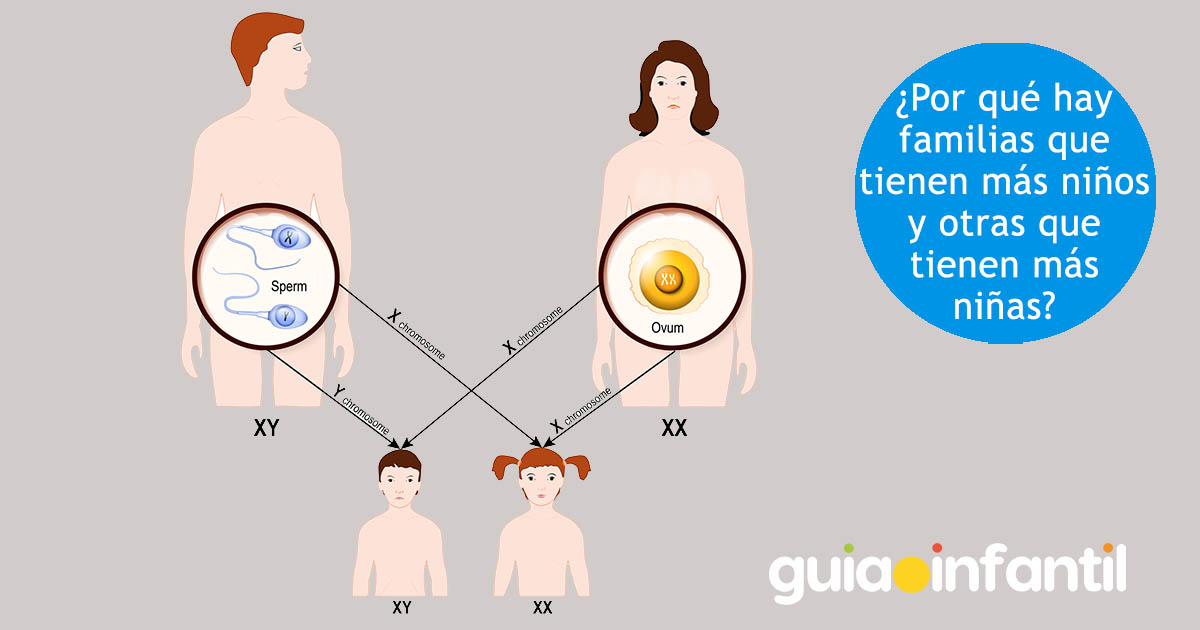 Descubriendo el Calendario Azteca de Embarazo y Otras Tradiciones ...