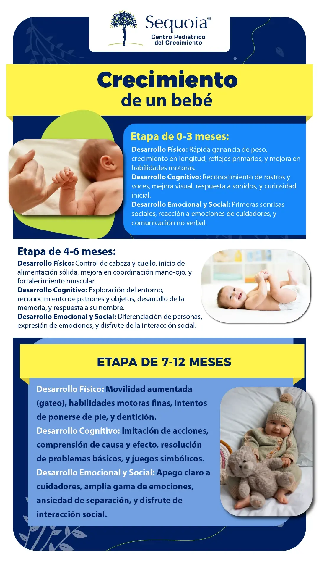 Guía Completa: El Crecimiento y Desarrollo de un Bebé Mes a Mes