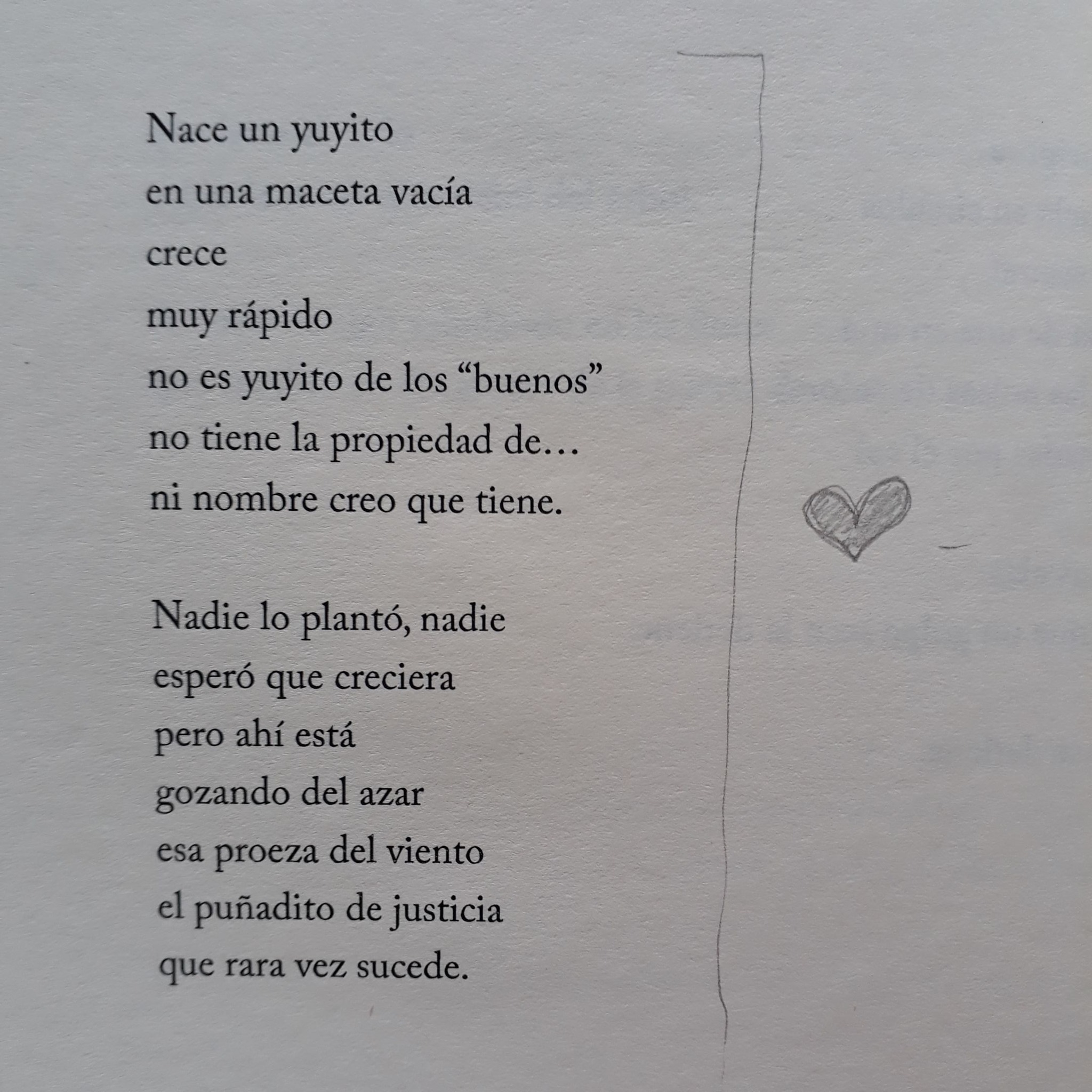 La Magia de la Luciernaga: Un Poema Animado y su Conexión con la ...